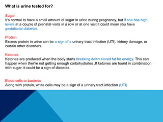 Pbl 1 g&d : the female reproductive system cycle , test is required for ...
