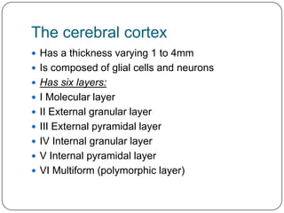 Histology of cerebral cortex | PPTX