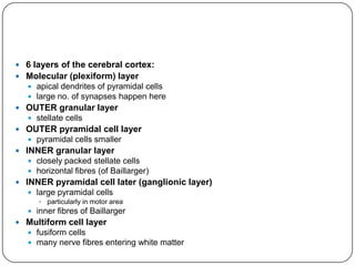 Histology of cerebral cortex | PPTX