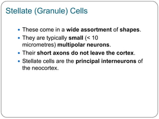 Histology of cerebral cortex | PPTX