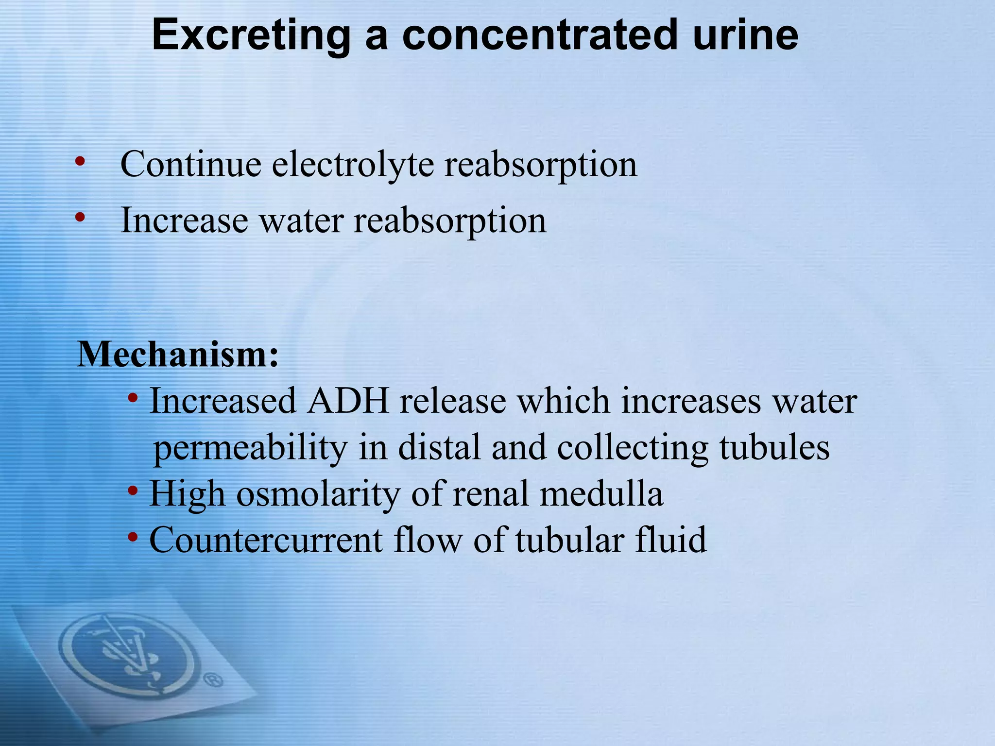 urine osmolarity | PPT