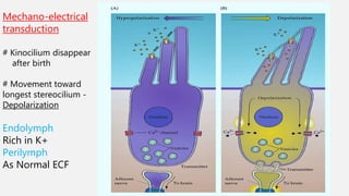 mechanism of hearing | PPTX