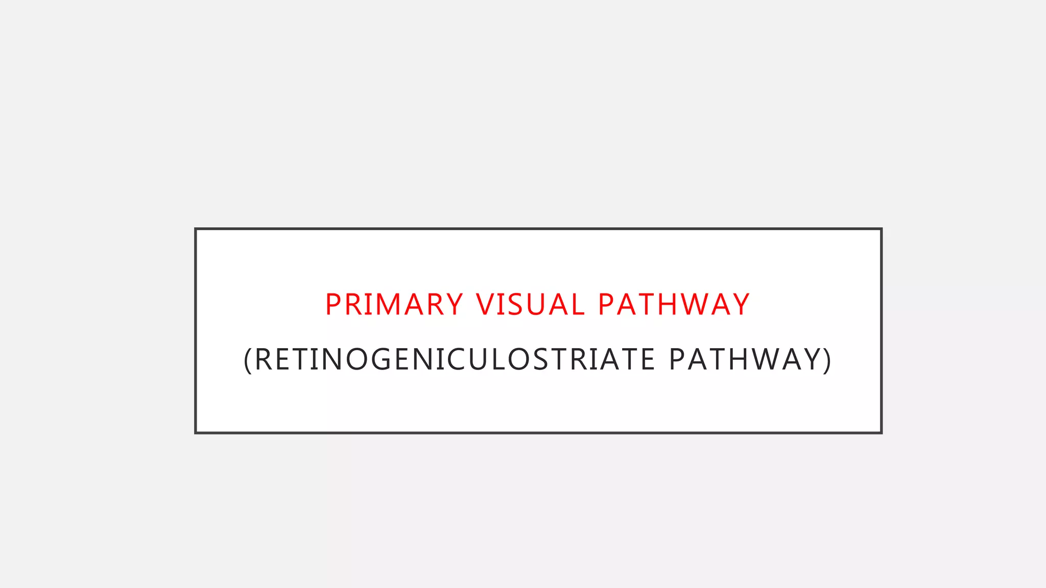 visual pathways | PPTX