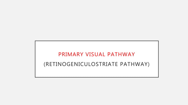visual pathways | PPTX