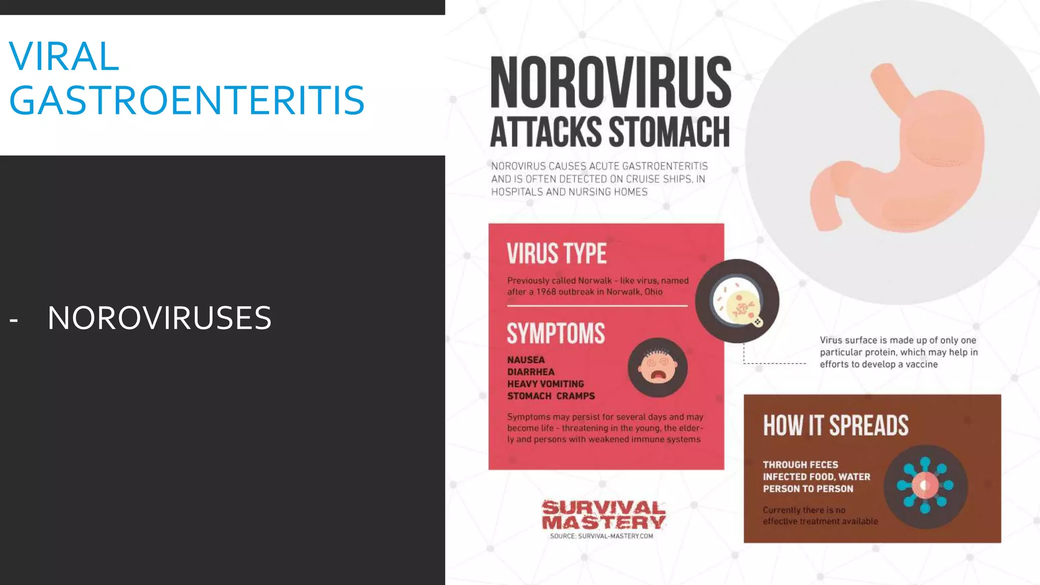 causes of gastroenteritis , viral ,bacterial , and parasite | PPTX