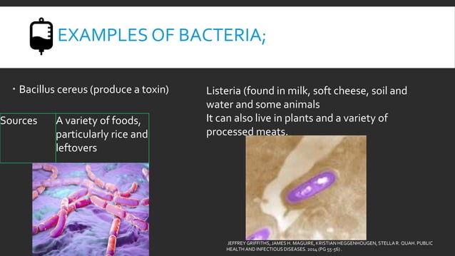 causes of gastroenteritis , viral ,bacterial , and parasite | PPTX