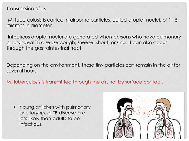 Pbl 2 –pod 1 : the morphology and structure of mycobacterium ...