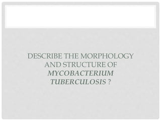 Pbl 2 –pod 1 : the morphology and structure of mycobacterium ...