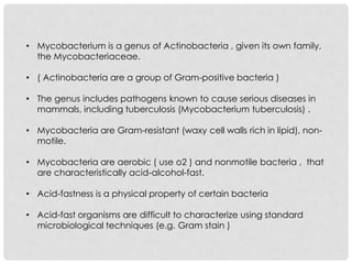 Pbl 2 –pod 1 : the morphology and structure of mycobacterium ...
