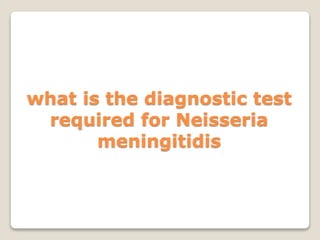 Pbl 3 –pod 1 : the morphology and structure of Neisseria meningitidis ...