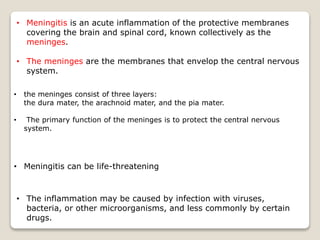 Pbl 3 –pod 1 : the morphology and structure of Neisseria meningitidis ...