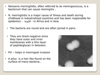Bacterial Meningitis Cell Structure