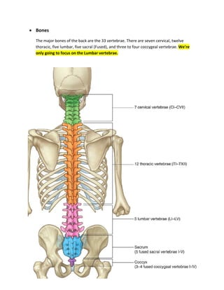 Disc Herniation | PDF