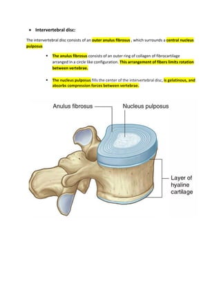 Disc Herniation | PDF