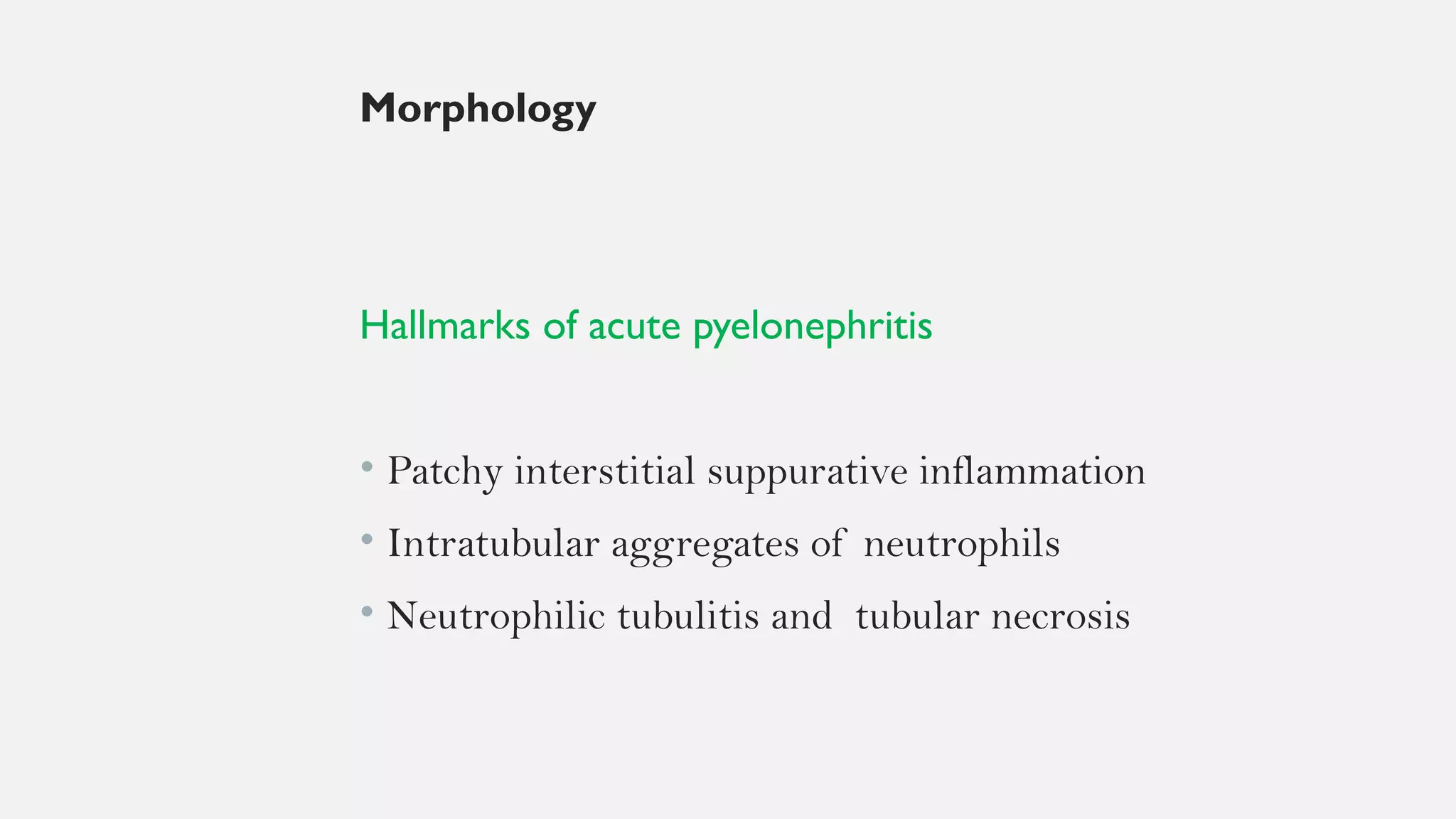 acute pyelonephritis ab. d | PPT