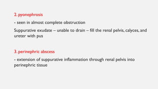 acute pyelonephritis ab. d | PPT | Infectious Diseases | Diseases and ...