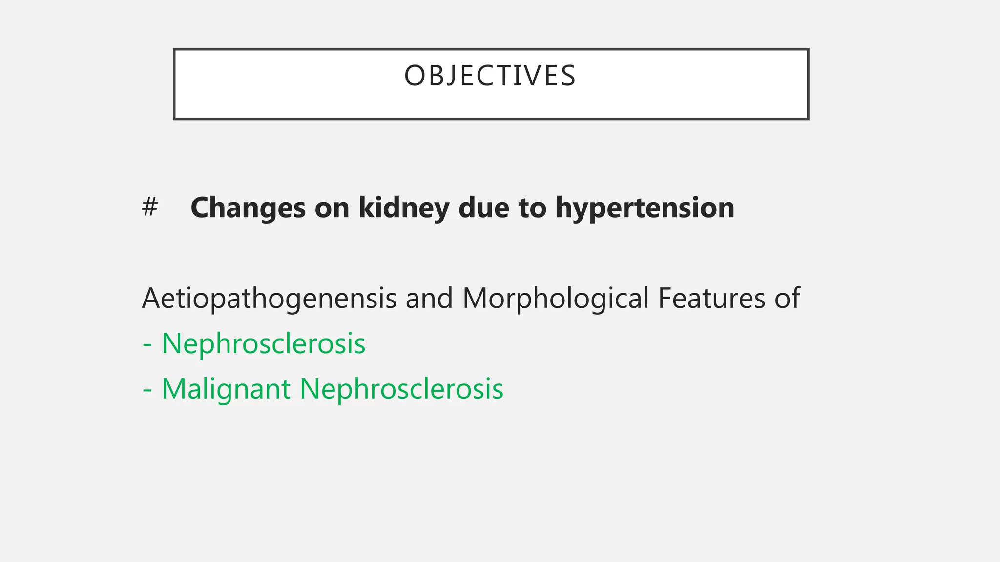 kidney on hypertension | PPTX