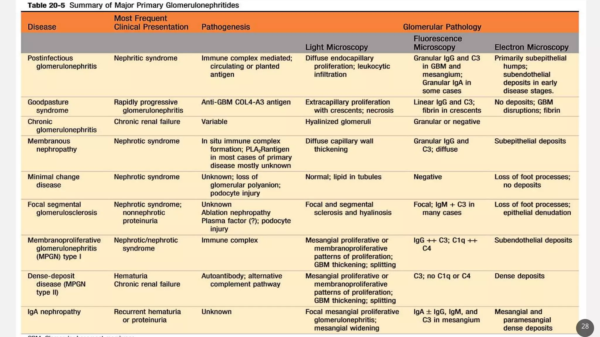 nephritic and nephrotic syndrome | PPTX