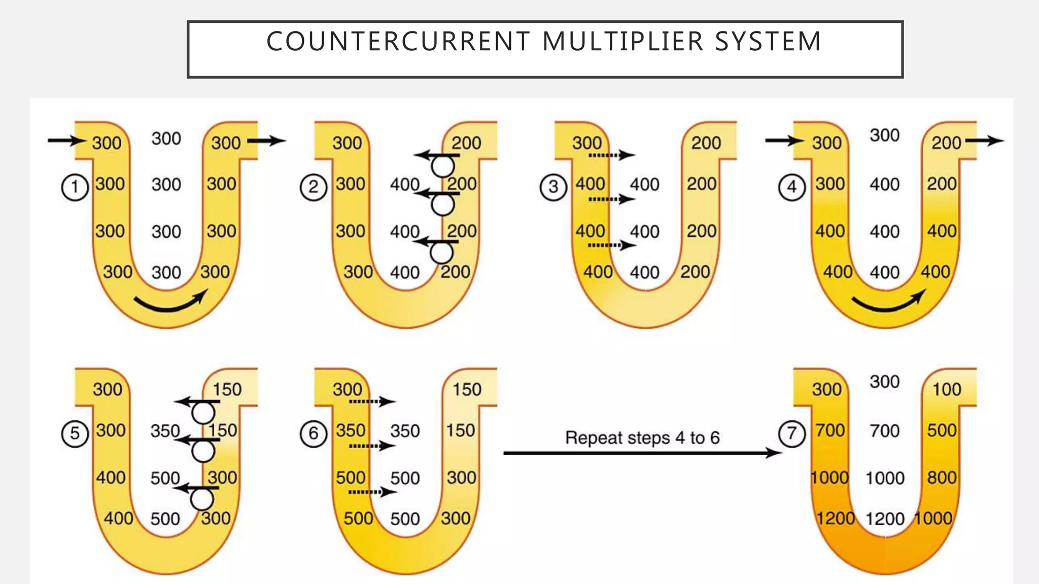 urine changes | PPTX