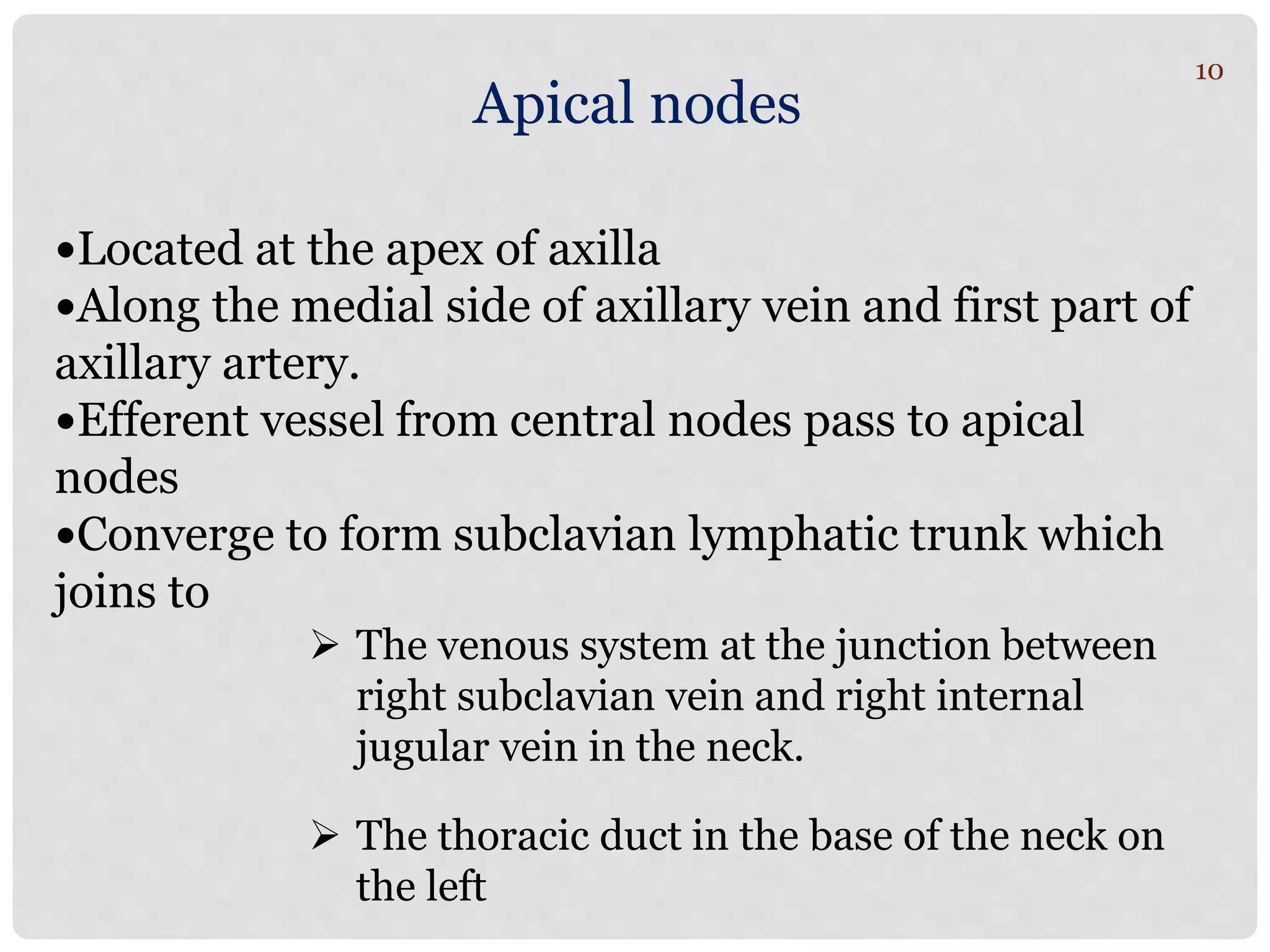 Lymph nodes | PPT