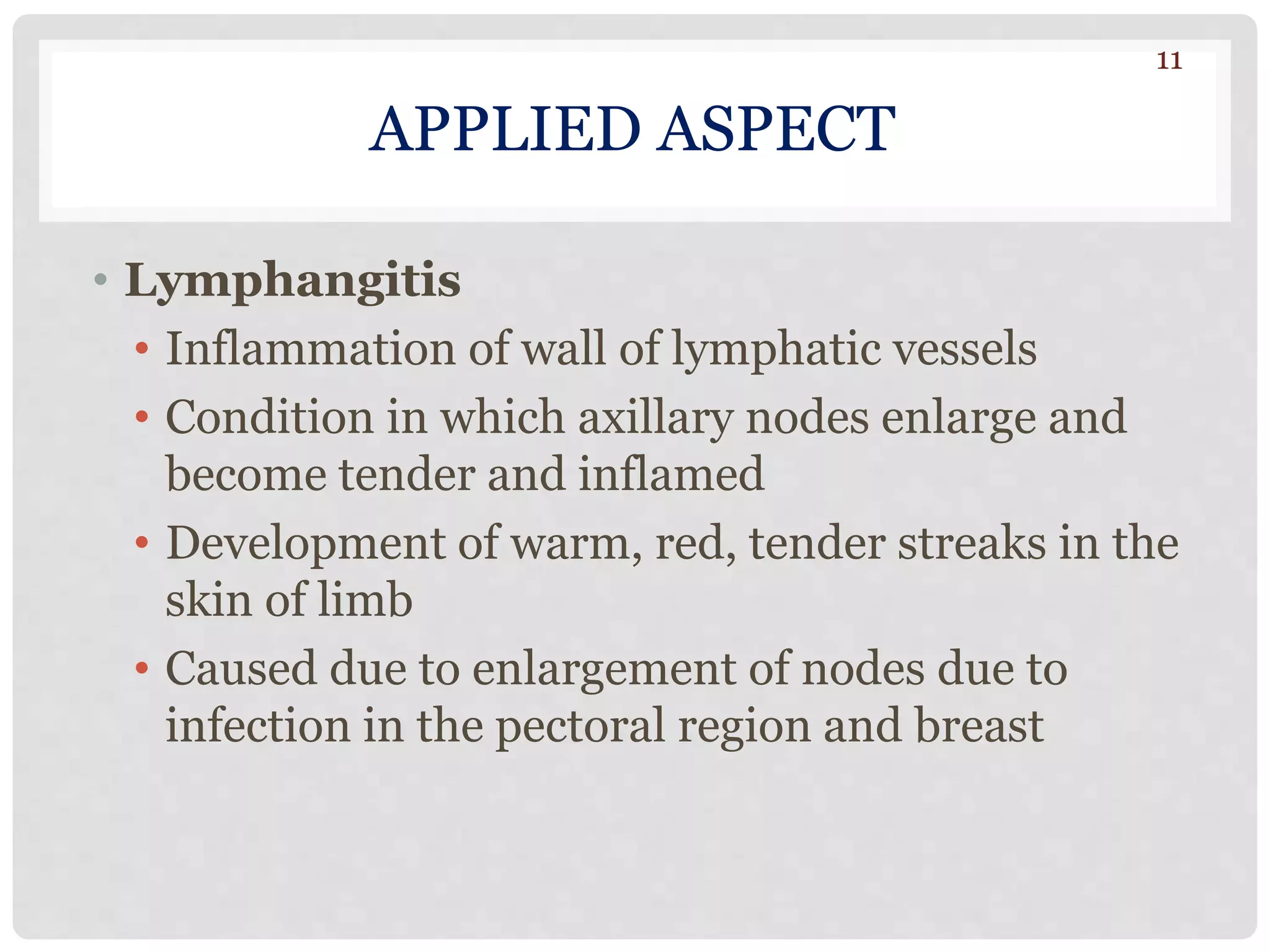 Lymph nodes | PPT