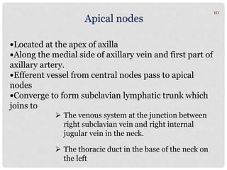 Lymph nodes | PPT