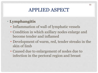 Lymph nodes | PPT