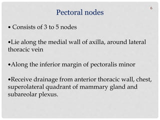 Lymph nodes | PPT