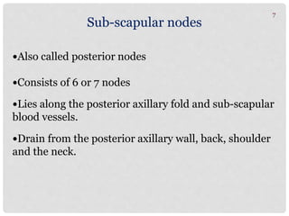 Lymph nodes | PPT