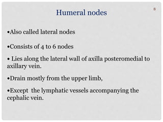 Lymph nodes | PPT