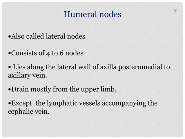 Lymph nodes | PPT