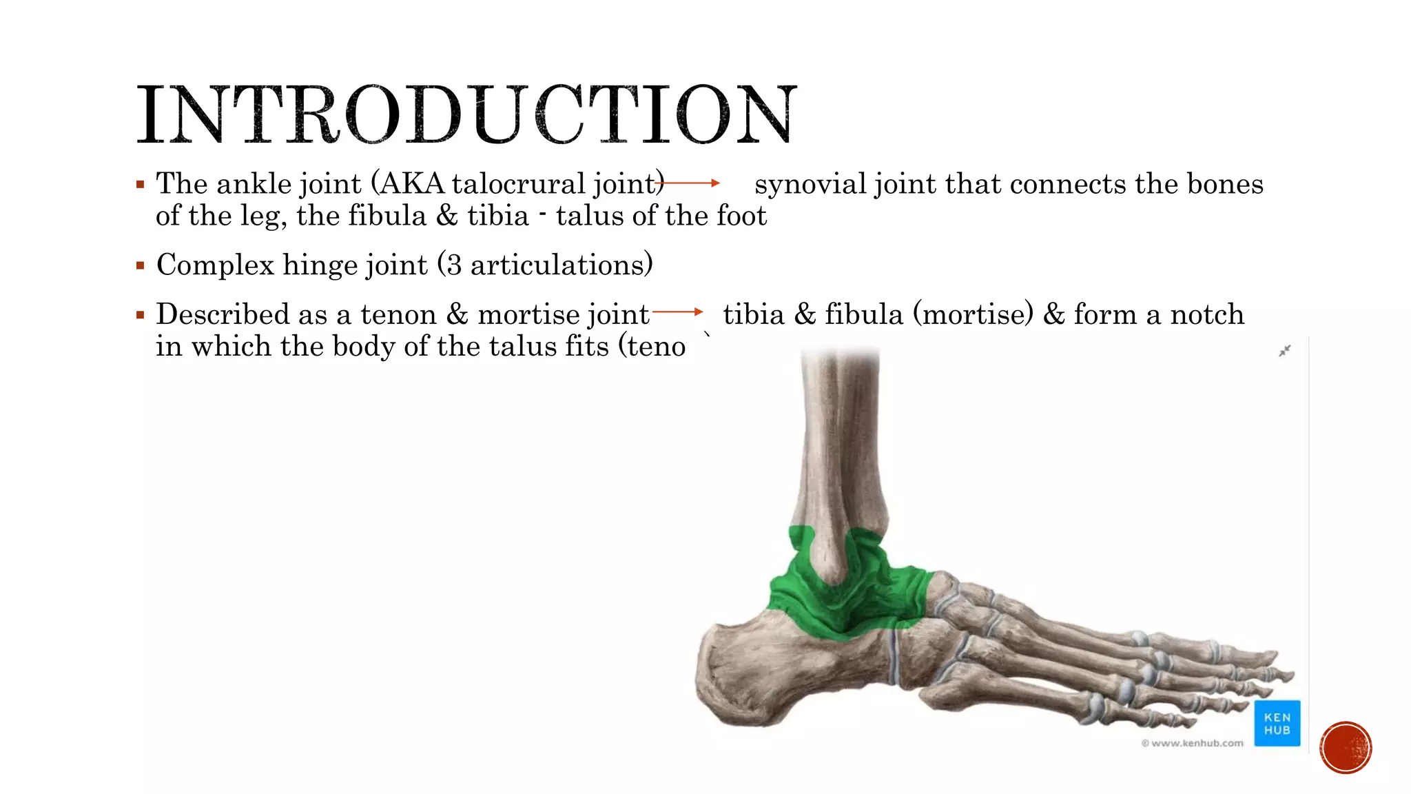 Anatomy of Ankle Joint | PPT