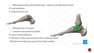 Anatomy of Ankle Joint | PPTX