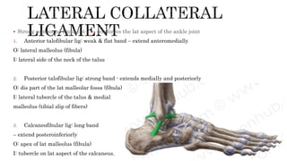 Anatomy of Ankle Joint | PPTX