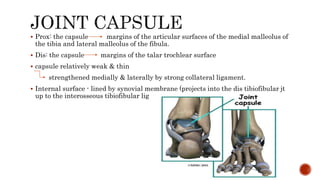 Anatomy of Ankle Joint | PPT
