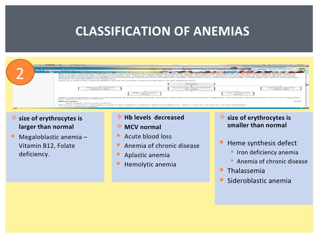 anemia classification