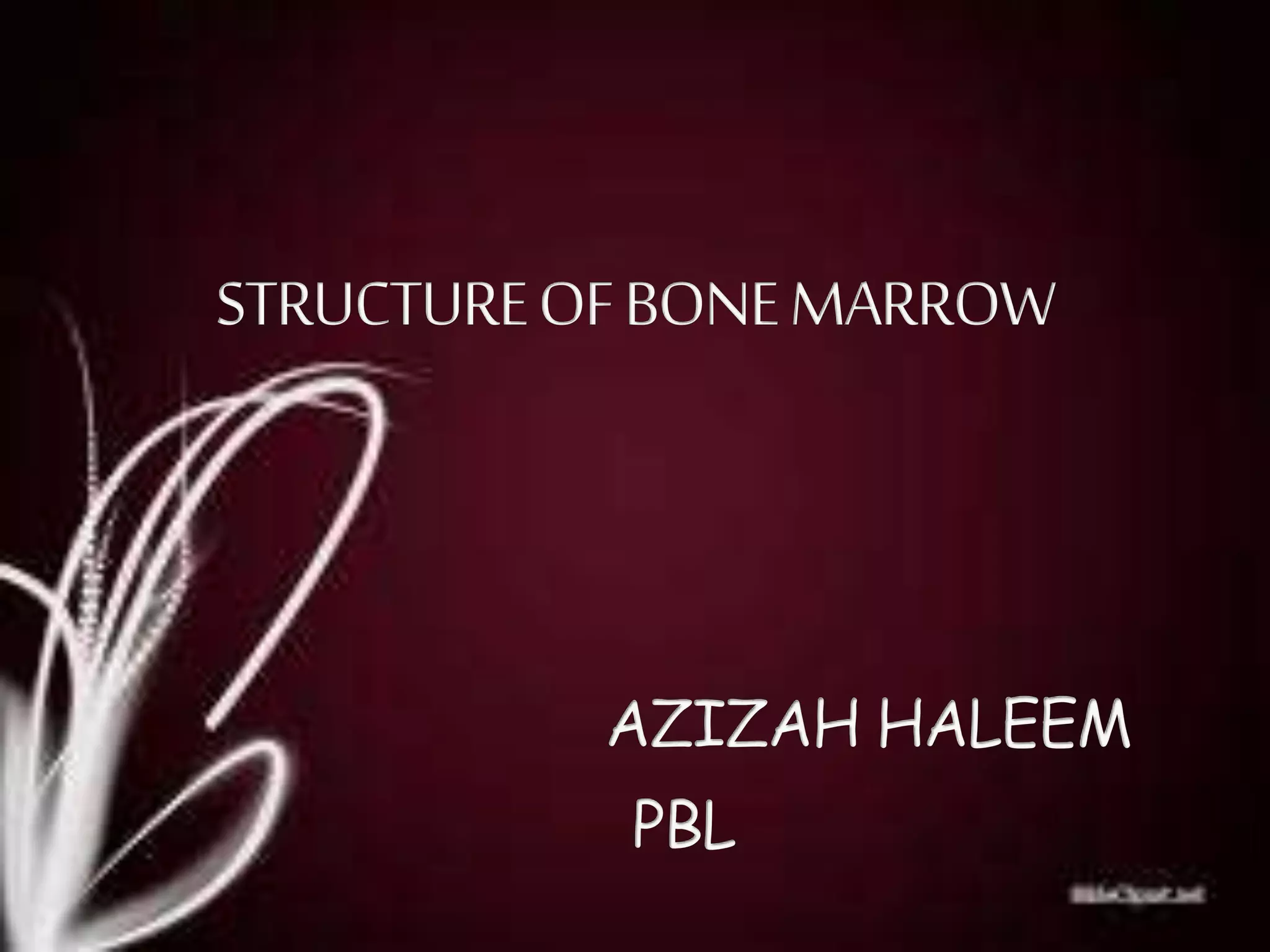 bone marrow | PPTX