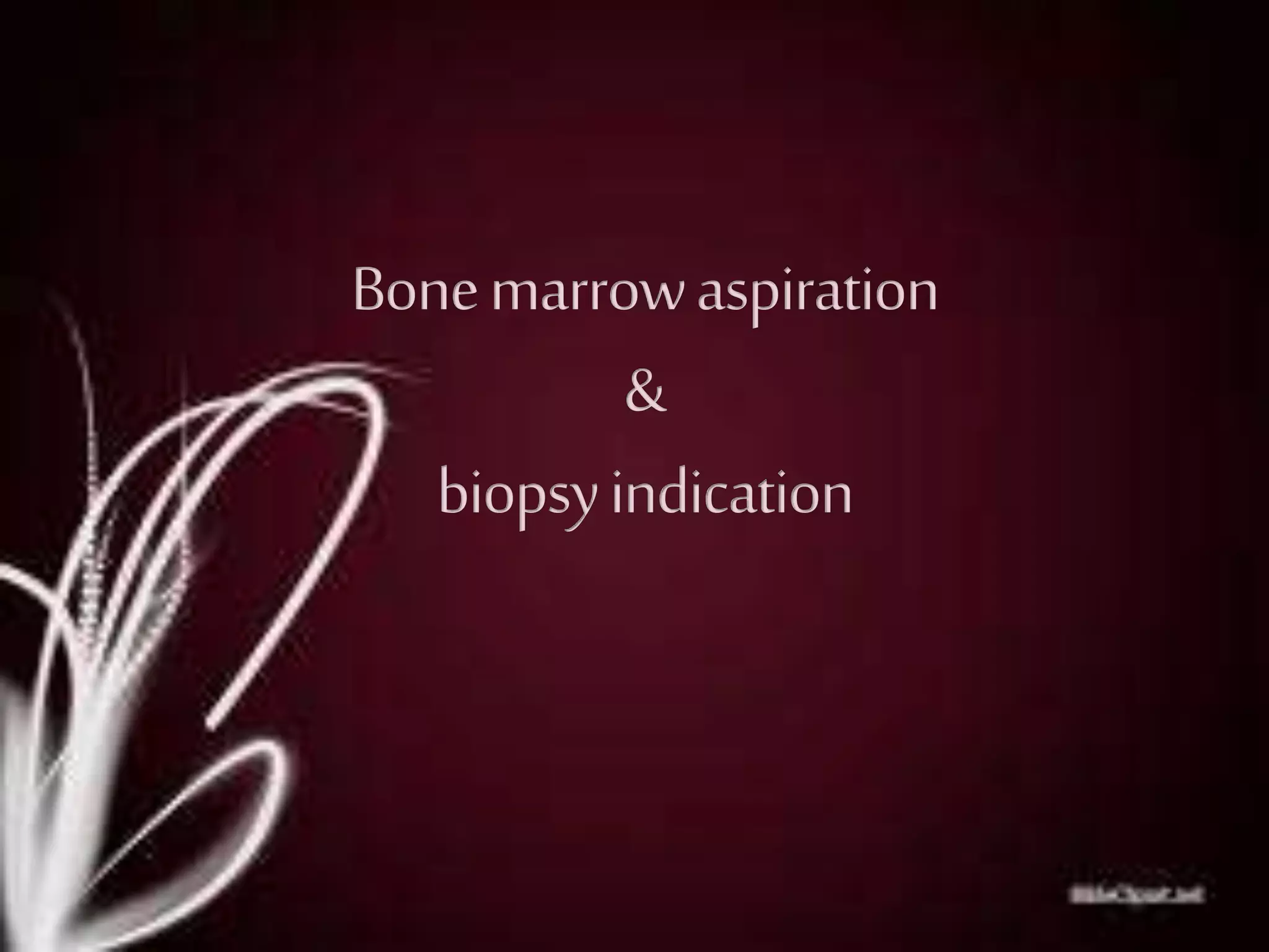 bone marrow | PPTX