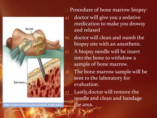bone marrow | PPTX