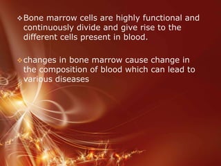 bone marrow | PPTX