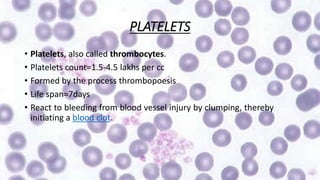 Blood - Compositions, Physical Characteristics and Functions | PPTX