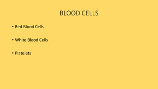 Blood - Compositions, Physical Characteristics and Functions | PPTX