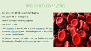 Blood - Compositions, Physical Characteristics and Functions | PPTX