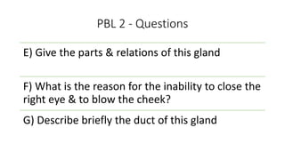 PBL Head and Neck - Module 1.pdf