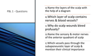 PBL Head and Neck - Module 1.pdf