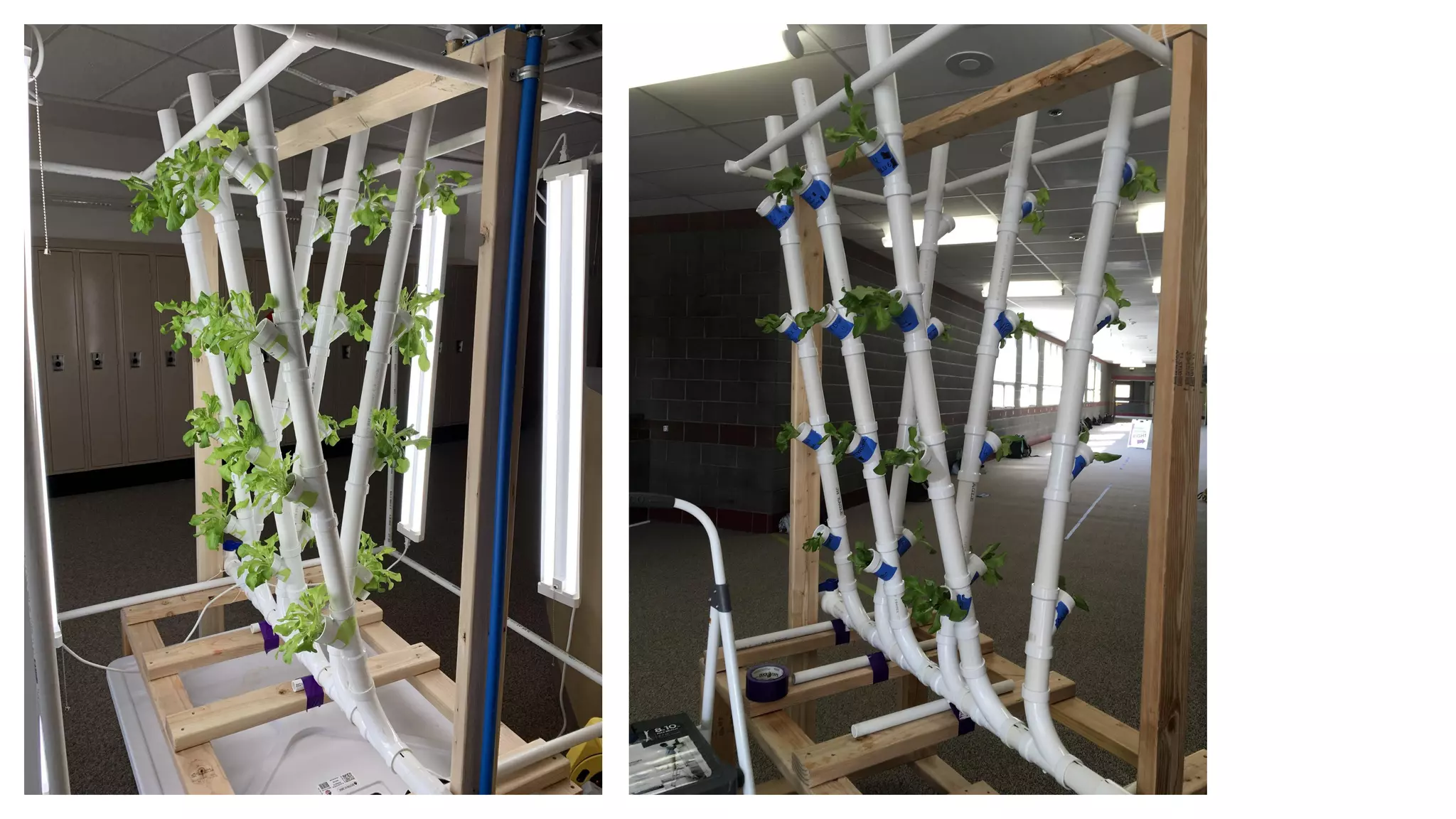 Project-Based Learning & Hydroponics in Education | PPT