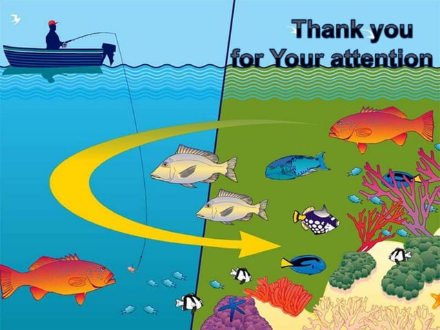 Native Fish Population in Pyapon River | PPT