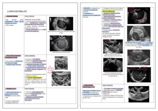 Ovarian pathology short notes quick study | PDF | Infertility ...
