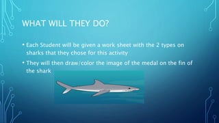 PBL power-point shark week | PPTX