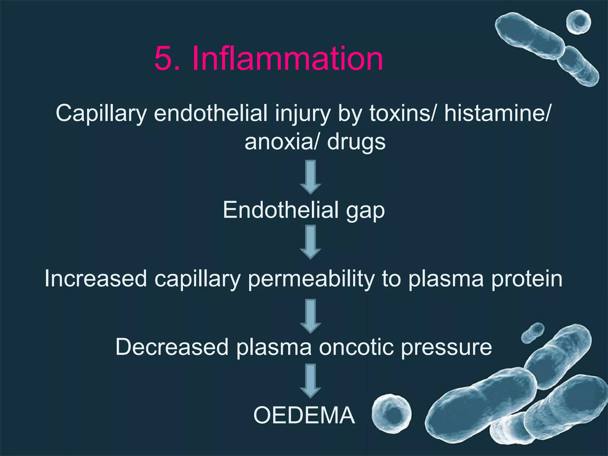 Pathophysiology of edema | PPT